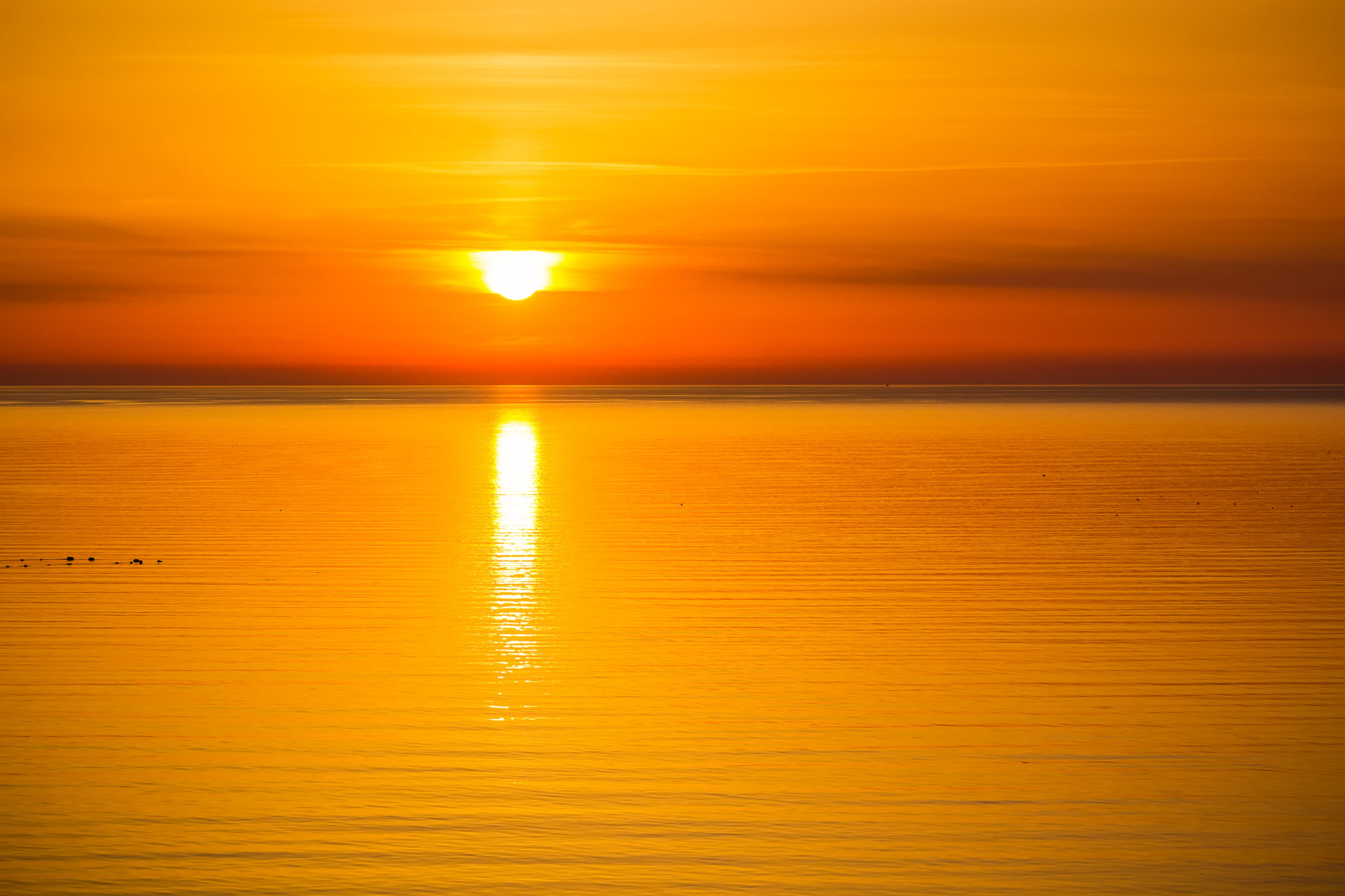 Colored sunset and sea. Red colors. Sky clouds